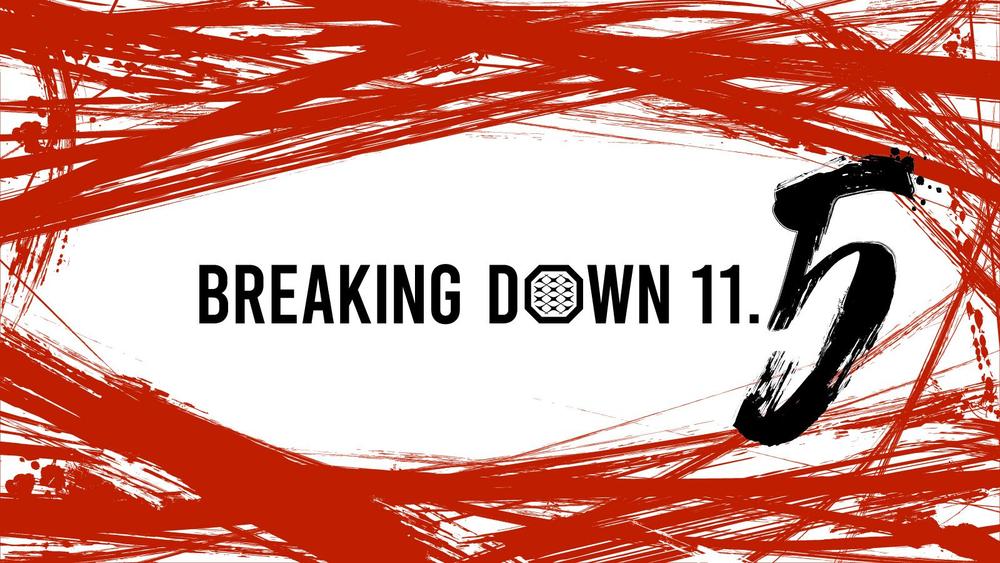 BreakingDown11.5 - ゴング格闘技