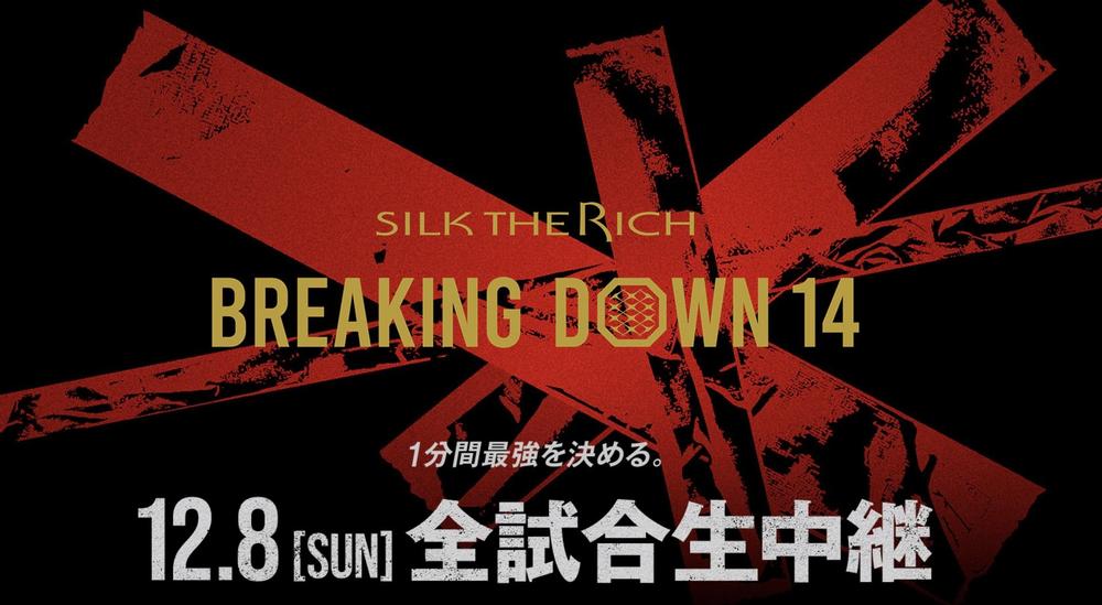 BreakingDown 14 - ゴング格闘技