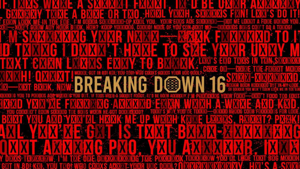 BreakingDown 16 - ゴング格闘技