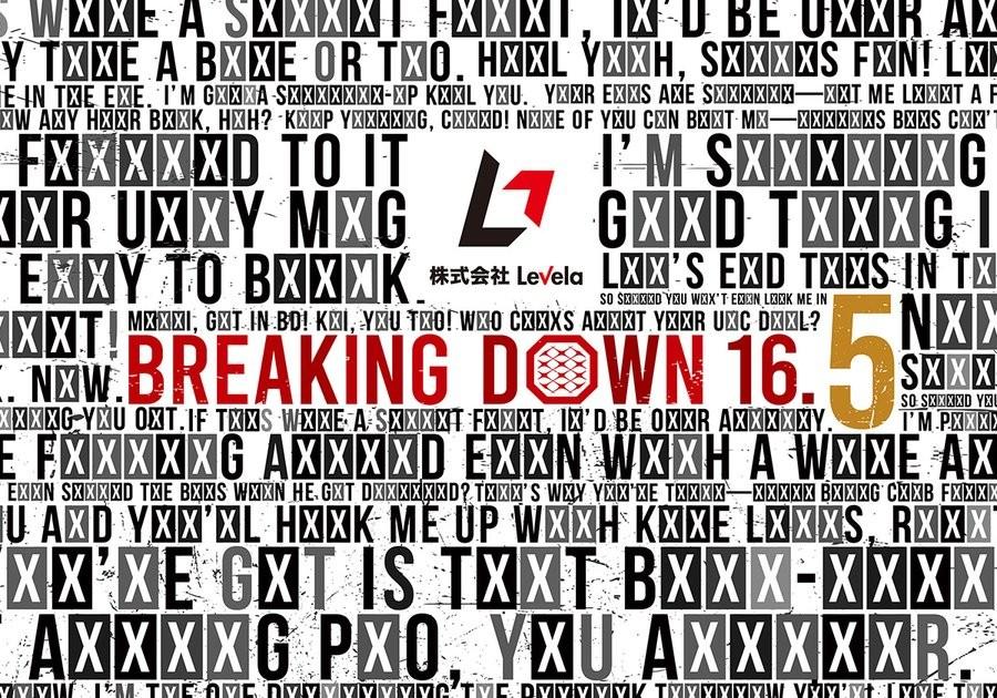 BreakingDown 16.5 - ゴング格闘技