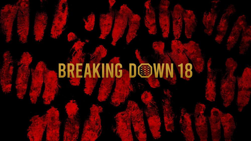 BreakingDown 18 - ゴング格闘技